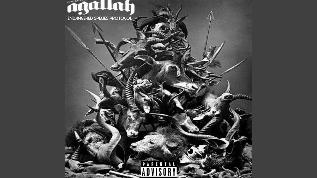 Agallah Don Bishop Feat. YZ - Force em To Fold